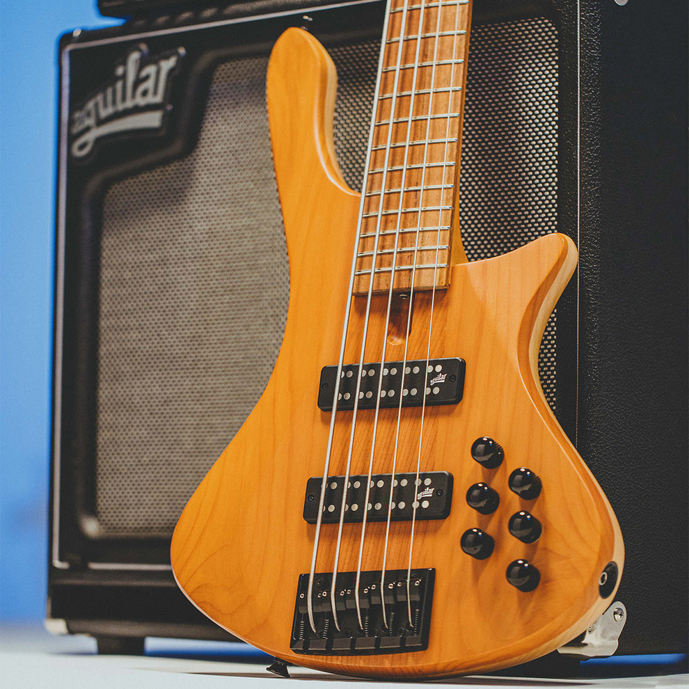 Aguilar AG 5SD-D2 5-String Super Double Bass Pickup Set – Aguilar Shop